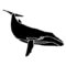 Whale Stencil | Free Stencil Gallery