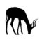 Antelope Silhouette Stencil | Free Stencil Gallery